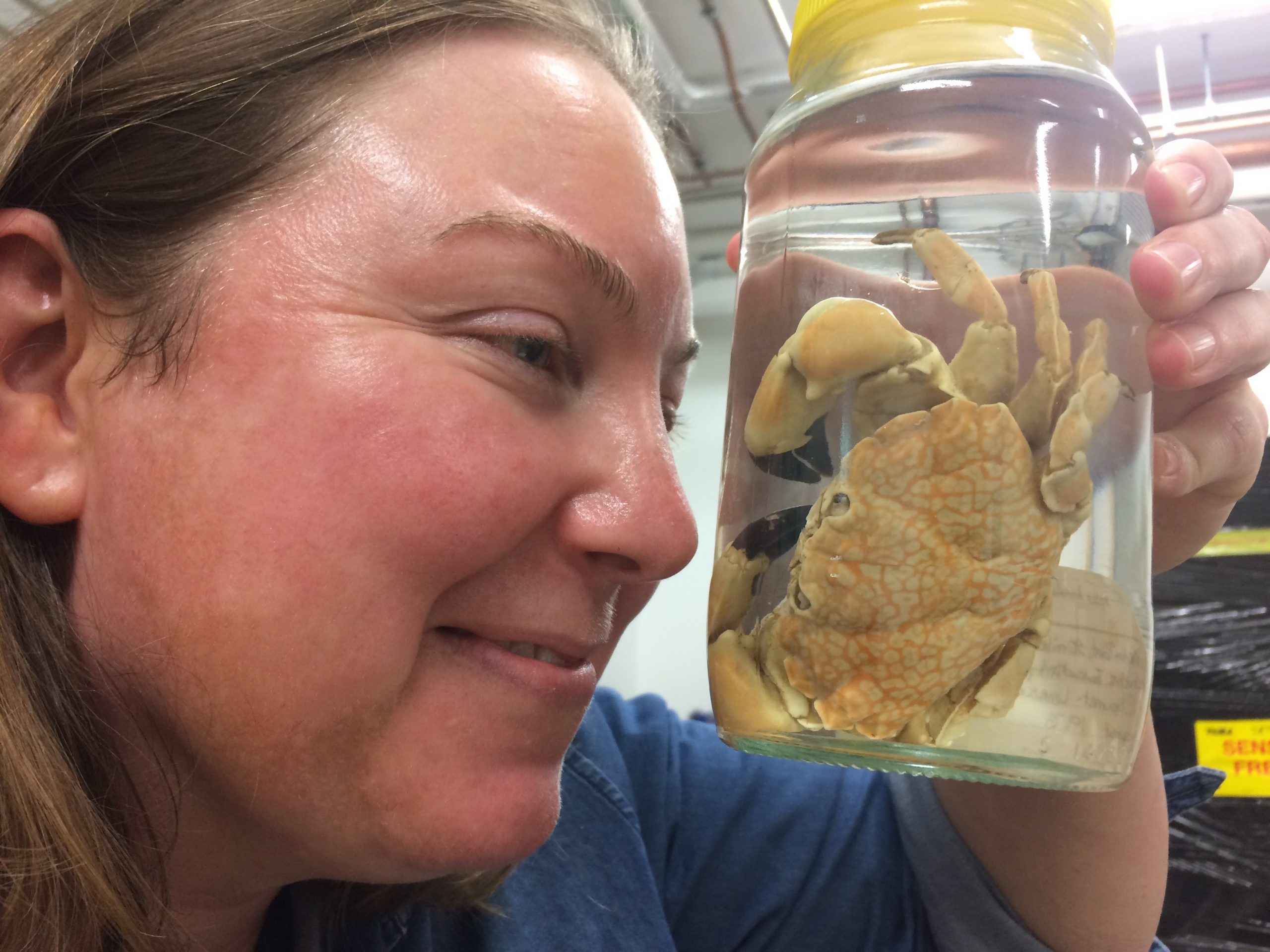 Jenelle Ritchie - Schmidt Ocean Institute