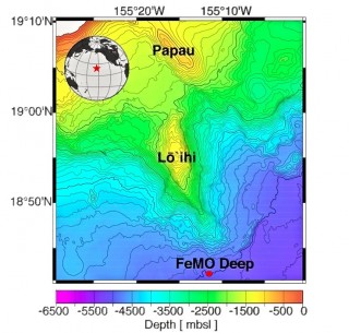 The Iron Eaters of Loihi Seamount - Schmidt Ocean Institute