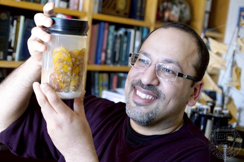 Peter R. Girguis - Schmidt Ocean Institute