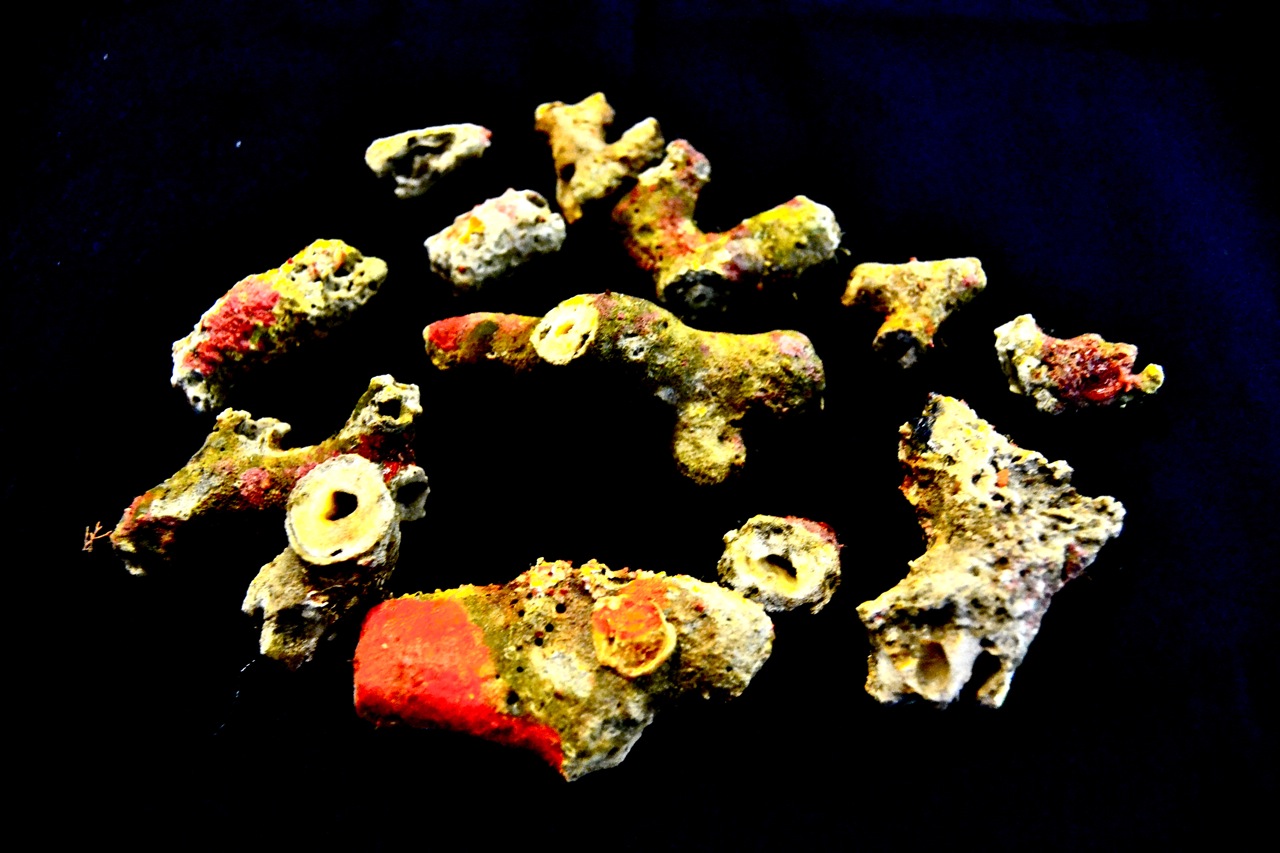 The Rise of the Rubble - Schmidt Ocean Institute