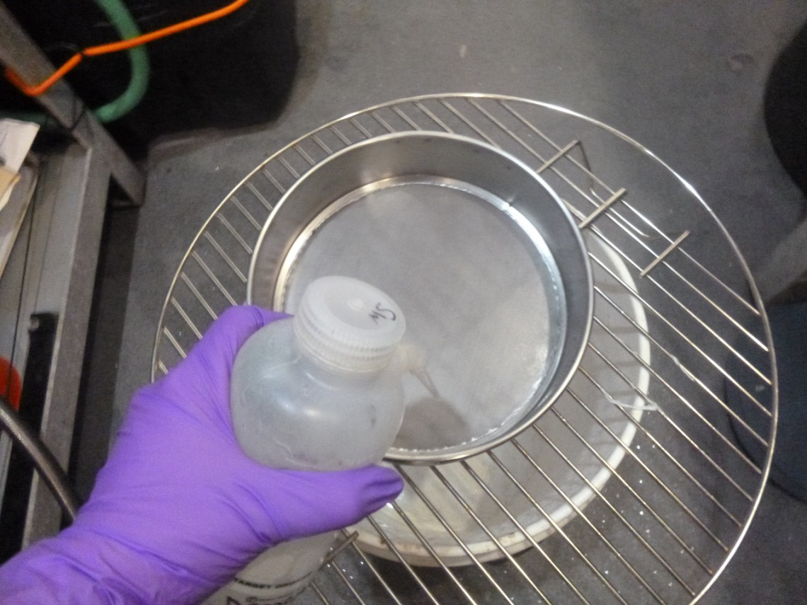 Dirty Secrets at the Bottom of the Trench - Schmidt Ocean Institute