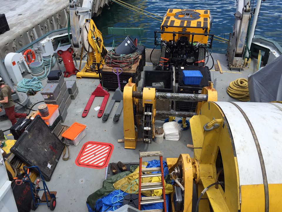 Video: Wrapping up Virtual Vents ~ The Sampling - Schmidt Ocean Institute