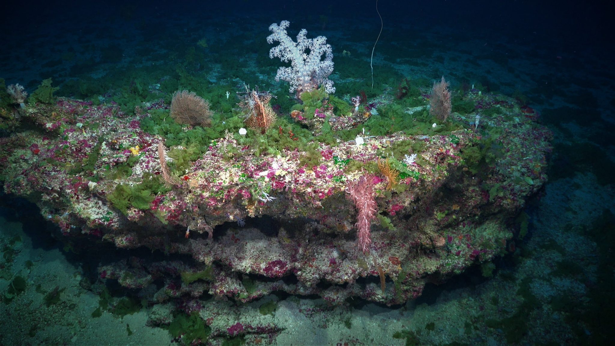 Ice Age Geology of the Great Barrier Reef - Schmidt Ocean Institute
