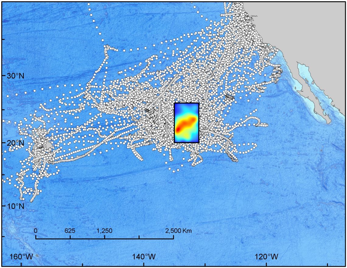 A Birthday Gift: Pop-Up Satellite Tagged White Sharks - Schmidt Ocean ...